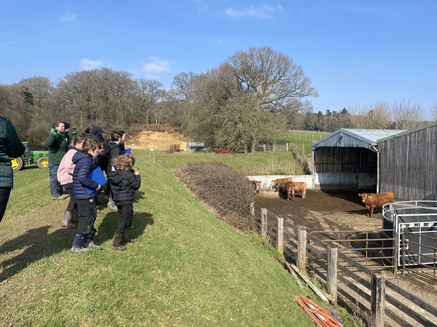 10s Rushall Farm Trip March 2024 | Harrodian | Independent School West London | Pre Prep, Prep ...